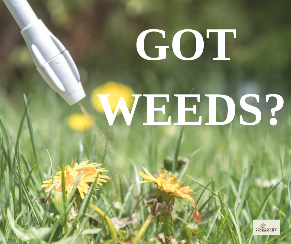 Weed Free Lawn - Landscaping Blog