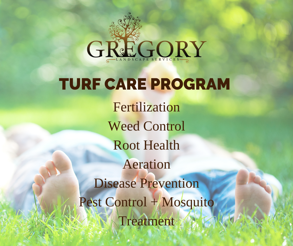 How to Choose a Landscaper - Landscaping Blog